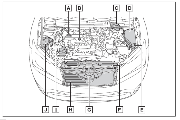 2024 Toyota Prius Prime Engine Oil And Fluids Guide Auto User Guide 